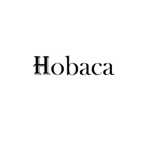 Hobaca | Wayfair